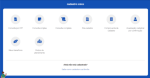 Qual o número do meu NIS? Saiba como consultar!