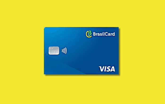 Cartão BrasilCard Visa: Vantagens e Como Solicitar